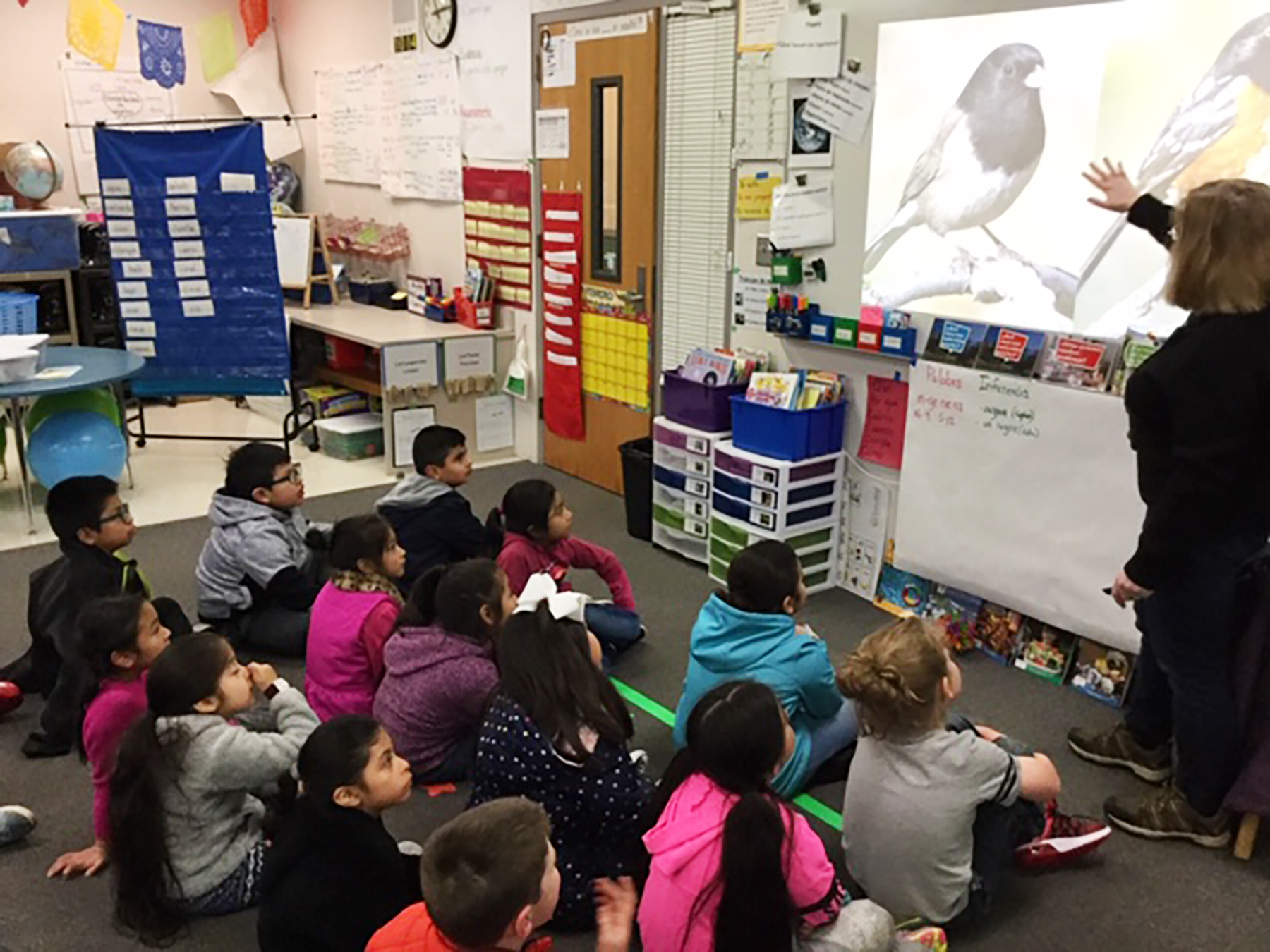 We’re bringing birds to a Shelton Classroom – South Sound Bird Alliance