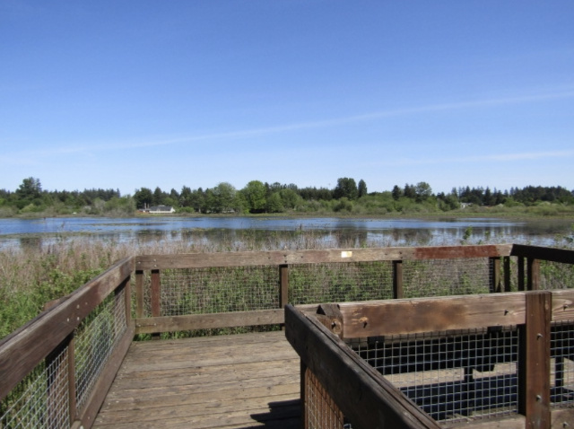 Chehalis Western Trail – South Sound Bird Alliance