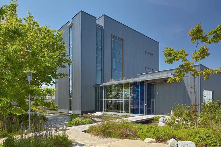 LOTT Clean Water Alliance VIRTUAL Openhouse – South Sound Bird Alliance