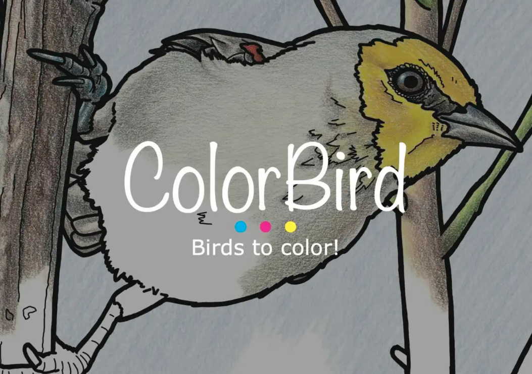 Birds to Color – South Sound Bird Alliance
