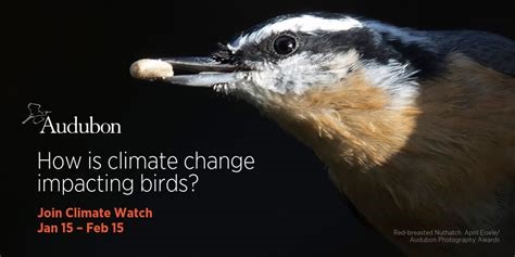 Climate Watch Jan. 2025 – South Sound Bird Alliance
